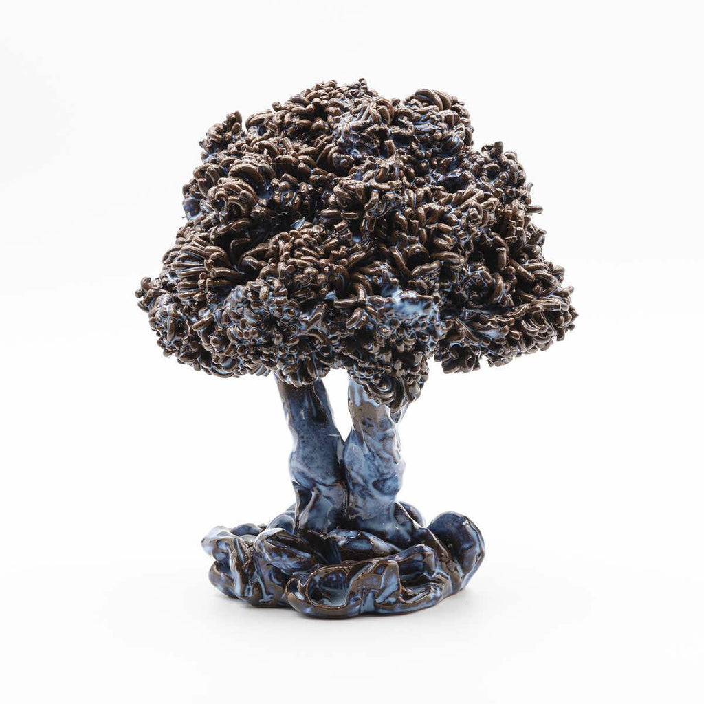 Alberello di ulivo blu cangiante – Carella Ostuni