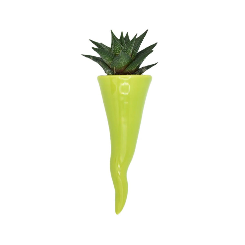 Corno porta pianta verde acido – Carella Ostuni